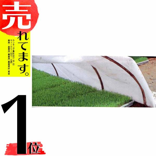 保温性にすぐれ、大きな苗を育てます!主に水稲育苗に使用される低発砲ポリエチレンシートです。独立気泡構造の低反発ポリエチレンシートで、保温力にすぐれています。光線透過率は45〜55%と理想的で、”苗焼け”などの高温障害を防ぎます。かさばらず、...