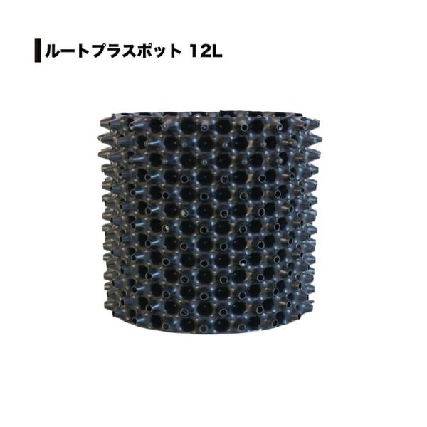 ●特徴内側の突起が根の先端を外側へ誘導し、根を自然に空気で剪定させその根から多数の細胞を発生させ健康な根に成長させます。移植のストレスに耐える健康な根の樹に速く生長させ、根のサークリングを防止し、移植段階を短縮させます。外側の通気孔及び底面...