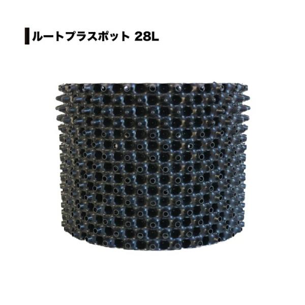 ●特徴内側の突起が根の先端を外側へ誘導し、根を自然に空気で剪定させその根から多数の細胞を発生させ健康な根に成長させます。移植のストレスに耐える健康な根の樹に速く生長させ、根のサークリングを防止し、移植段階を短縮させます。外側の通気孔及び底面...