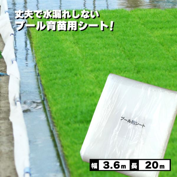 プール育苗 用 プールシートは、丈夫で水漏れしないプール育苗用シートです。厚手なのに軽くて扱いやすいプール シートでプール育苗の作業効率UPに役立ちます。遮水シートなので水漏れを気にせず安心して使用できます。厚みもあり丈夫なので穴もあきにく...