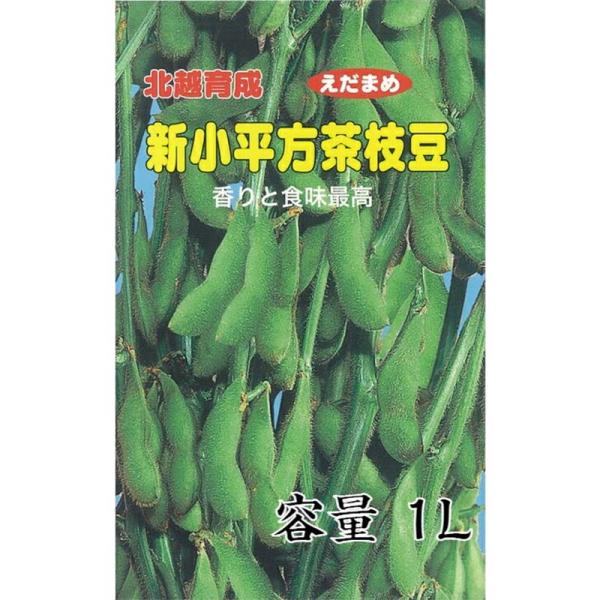 容量：1L品種特性・在来の"小平方茶豆"より選抜した中早生品種で、特に食味に優れています。・草丈50cm前後、着莢(サヤのつき)が多く、大莢で豊富な富産多収種です。・茹で上がりの莢色は鮮緑色で美しく、風味と香りに優れます。・生育日数は5月中...