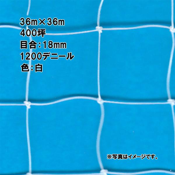 サイズ：36m×36m面積：400坪目合い：18mm糸の太さ：1200デニール色：白＜特長・効果＞ブルーベリー・さくらんぼ・ブドウ等の果樹に役立ちます。ヒヨドリ・ムクドリなどを防ぐのに最適です。色は白で景観を損ないません。UV剤入りで長持ちです。
