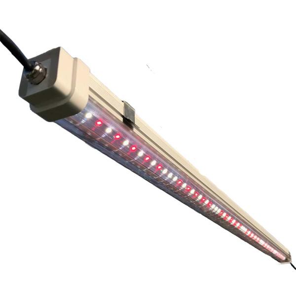 農業先進国オランダで採用実績No.1のLEDを搭載！信頼の日本メーカー製梅雨や秋梅雨の長さ芽時期はもちろん、曇天時の補光に！ハウス内の生育ムラの解消に！ハウスの暗い場所、谷になるところやカーテンのたわみの下にも最適。安心の完全防水＆3年保証...