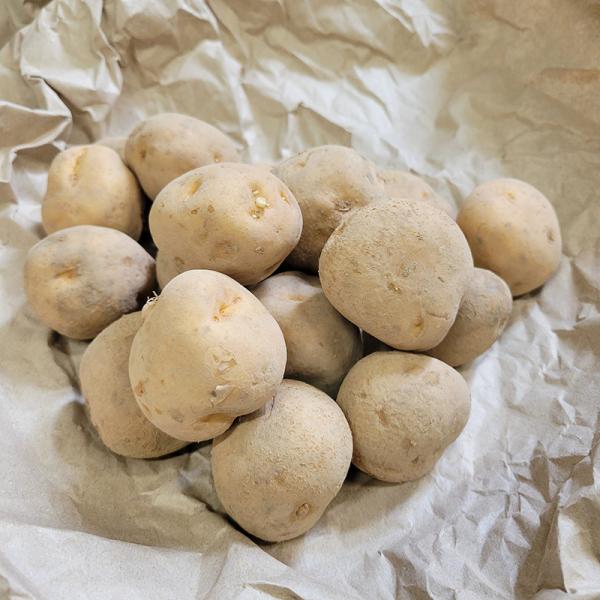 栽培用の種芋です。入荷時の重量になります。容量：1kgサイズ：Sサイズ個数：約15〜19個/kg※1枚目の画像は1kg分です。