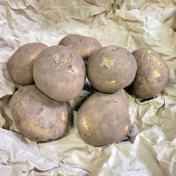 栽培用の種芋です。入荷時の重量になります。容量：3kgサイズ：混玉サイズ個数：約6〜8個/kg※画像は1kg分です。