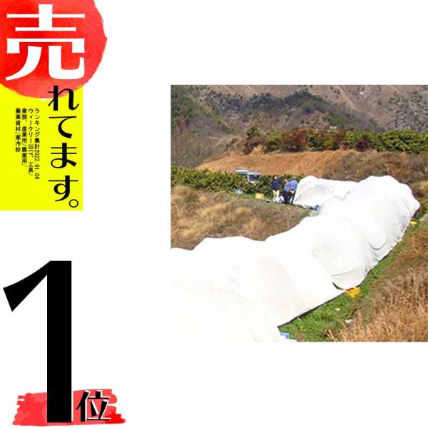※この商品は止め具のみです。サニーセブン本体は付属致しません。サニーセブンを固定するのに便利な専用の止め具です。サニーセブンは従来のハウス栽培で用いられてきたビニールシートや、寒冷紗とは違つた特殊な編加工を施し、“寒風防止"“晩霜防止"“保...