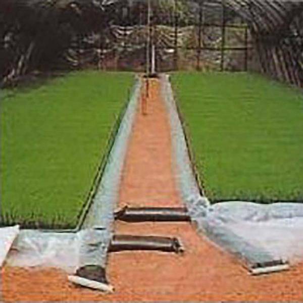 ぷーるっこは、ヌキ板を使わずにホースで黒チューブに水を注入するだけで簡易プールができ、プール育苗が手軽にできます。朝晩の灌水の手間いらずでカンタン管理!シートはチューブ状の二枚重ねになっており、丈夫で軽く扱いやすくなっております。野菜(葉も...