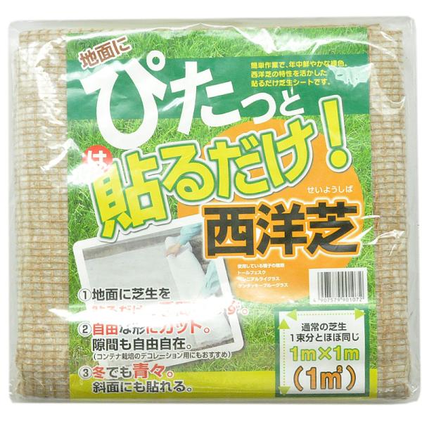 1.地面に芝生を張るだけで芝生を敷くことができます。2.カットができるため、気になる隙間も自由自在に施工できます。3.西洋芝で冬の間も青々としたお庭になります。規格：1ｍ2入数：20袋重量：200g/袋個装サイズ：310×310×40mm/袋