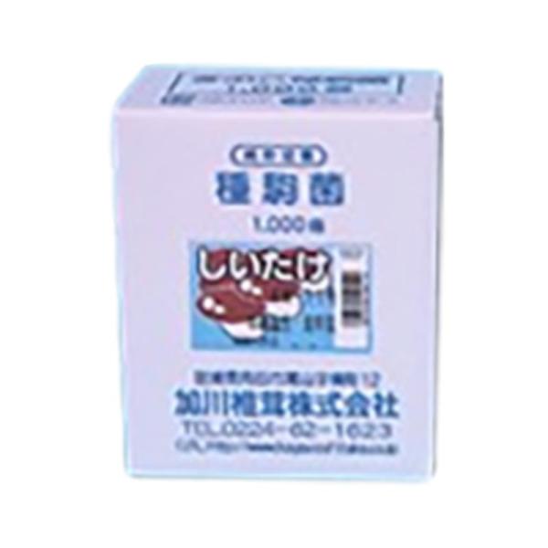 しいたけ KM-11号種駒 1000個入 袋品種：しいたけ KM-11号特性：〈中高温性〉中葉・中肉特徴：原木栽培用 菌床栽培用発生時期：晩春・初秋 3月〜12月発生温度：10〜22℃適合ドリル径：8.5mmきのこは菌を植えて標準で2年目の...