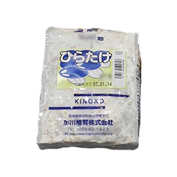 ひらたけ  KMホワイト（人工しめじ）種駒 500個入 袋品種：ひらたけ  KMホワイト特性：〈純白種〉厚肉・中葉特徴：原木栽培用 菌床栽培用発生時期：晩秋 10月〜3月発生温度：5〜13℃純白で味がよい。肉質が固く、こわれ難い。適合ドリル...