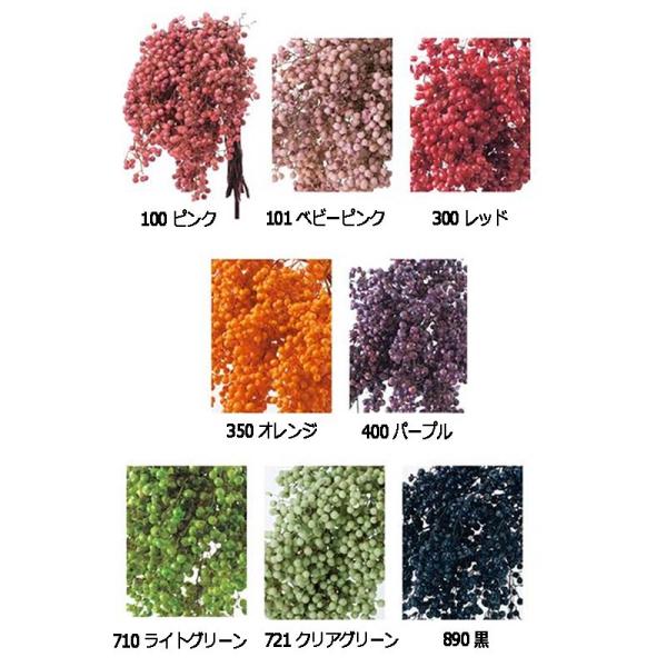 アレンジのアクセントに！小さな実がかわいいペッパーベリーのプリザーブドです。メーカー名：株式会社大地農園ご希望のカラーをご選択ください。　・ピンク　76-3380-1004988489141420　・ベビーピンク　76-3380-101　4...