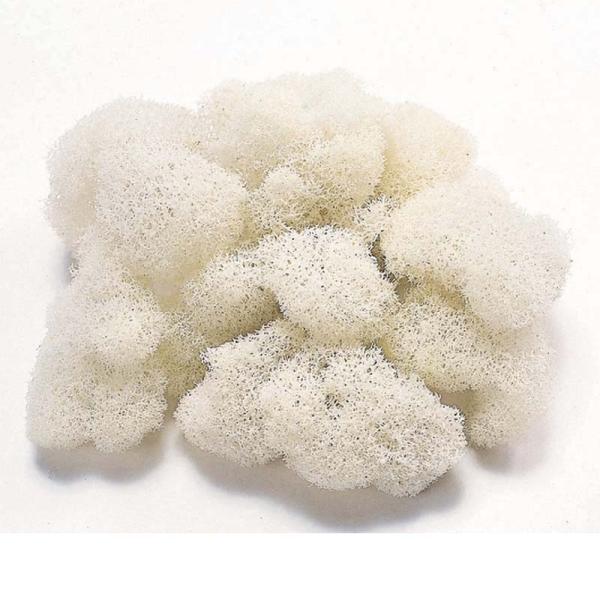 ぷっくりとしたボリューム感のある苔（モス）です。敷き詰め面積約45cm□メーカー名：株式会社大地農園フィンランドモス 白76-61151-11　4988489064163　材質：天然素材内容量：約65g入数：1袋