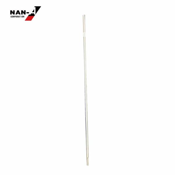 キュウリやインゲンネットを展張するために使用します。◇種類差込部付き1410mm◇仕様パイプ外径：19.1mm材質：スチール（亜鉛メッキ加工）差し込み口タイプ：メス入数：40本