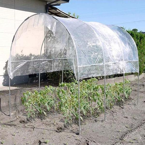 雨に敏感な夏物野菜を守り、安定した収穫を確保する雨よけハウスです。夏野菜は雨や湿度が過剰な場合、病気や裂果が起こりやすくなります。雨よけハウスで美しくみずみずしい野菜を育ててください。組立は簡単で女性でも楽に組み立てられます。・夏野菜に多い...