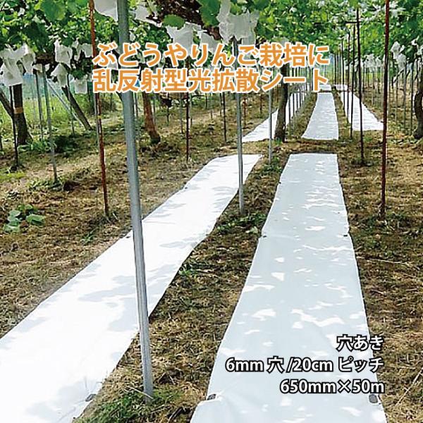 極細繊維からなる合成紙とワリフを熱圧着させた乱反射型光拡散シートです。特殊な繊維構造により高い反射性能と赤外線遮蔽効果を実現しました。太陽光を乱反射させるため、色ムラ・色焼け防止効果もあります。◆特長高反射により、発育や色付を促進乱反射によ...