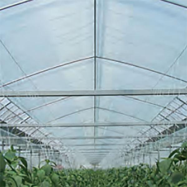 ※ご希望の長さ(m)を数量で入力してください。※フィルムのみのお届けとなります。●特長高温対策商品！赤外線を一定量押さえ、ハウス内の温度をコントロール。通年のご使用が可能です！夏季はハウス内の温度上昇を抑制するので、灌水の回数が軽減できます...