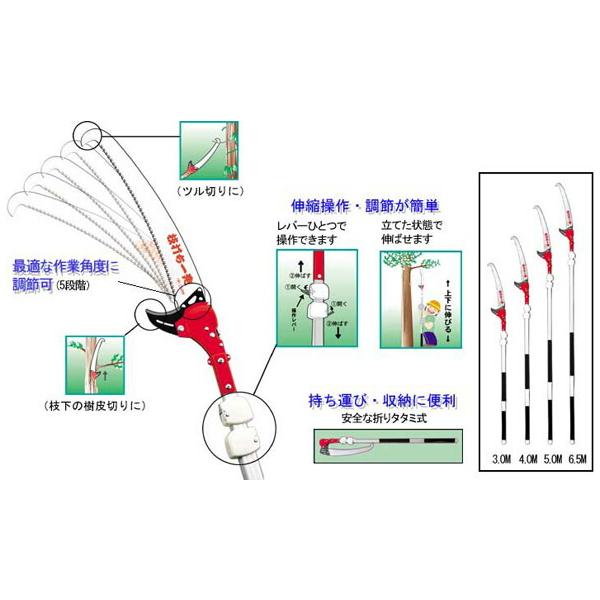 ◇全長1198〜3000ｍｍ◇重量約1540g ◇スギ・ヒノキ・松などの枝打ちに！◇刃を最適な作業角度に調節可！（5段階）◇簡単確実に長さ調節可！