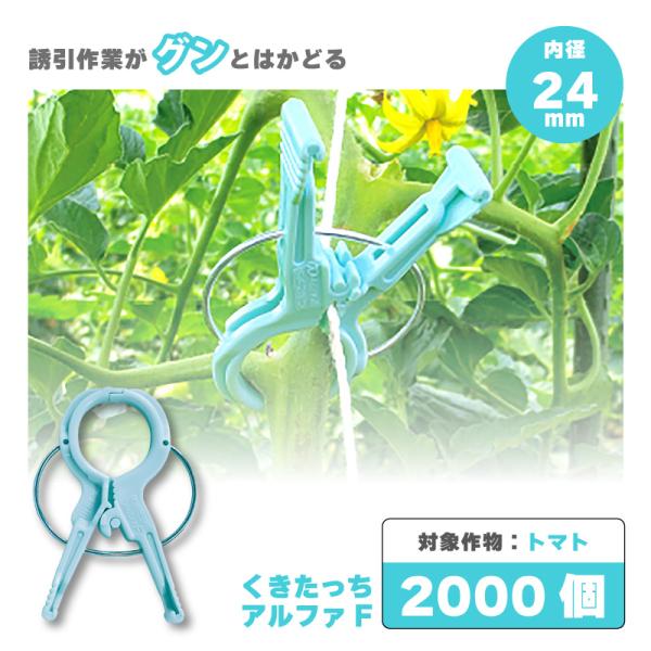 くきたっちアルファ（太紐・麻紐用）を使うことで従来の紐を結ぶ誘引作業が大幅に短縮されさらに、くきたっちアルファ（太紐・麻紐用）を使い誘引する事で誘引個所を従来より減らすことが可能です。また茎を縛る必要がないため、茎に紐が食い込んで傷めたりす...