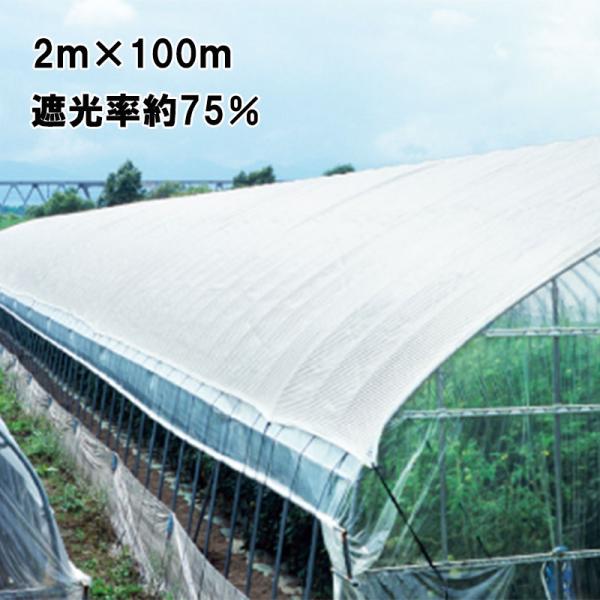 幅：2m長さ：100m遮光率：約75%色：白材質：タイベック・ポリエチレン暑い時期の高温対策、作業環境の改善に＜特長・効果＞ハウス内温度を下げながら、しかもハウス内が明るくなる秘密は、タイベックの強い光乱反射力によります。地温も下がり、土俵...