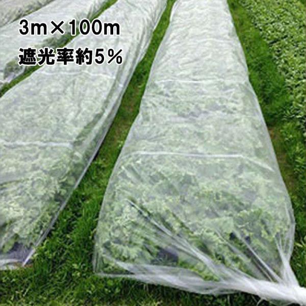 幅：3m長さ：100m遮光率：約5%色：白白の他、黒、シルバーのカラー品もラインナップしており、通気性遮光材、防虫、芝養生、育苗などに最適です。＜特長・効果＞遮光率は約5%なので、ほうれん草や小松菜の軟弱野菜での使用の他、蛾などの防虫と保温...