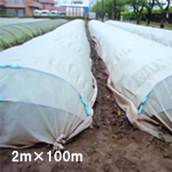幅：2m長さ：100m色：白(透明)吸湿性特殊不織布をワリフで挟み込んだ3層構造の保温資材でハウス内掛けやトンネル被覆で使用します。＜特長・効果＞特殊不織布を使用しているため吸湿性があり、除湿及び保温効果が期待できます。適度な通気性、透光性...