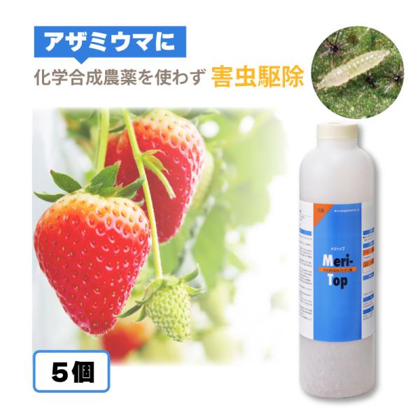 「天敵製剤 メリトップ」を5個セットにしてお届け。アザミウマ類の捕食性天敵であるククメリスカブリダニを製剤化したものです。ククメリスカブリダニは、葉裏や花部内に定着してアザミウマ類の幼虫を捕食します。また餌となるアザミウマ類の幼虫がいない時...