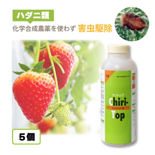 「天敵製剤 チリトップ」を5個セットにしてお届け。Agrisect（アグリセクト）のChiri-Top（チリトップ）は、ハダニ類の捕食性天敵であるチリカブリダニをボトルに封入した製剤です。放飼したチリカブリダニが、ハダニの成虫や若虫、幼虫、...