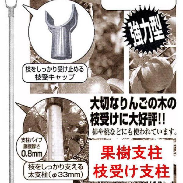 枝受けホルダー、枝受けストッパーは付属していません。りんご、桃、柿の木などの枝支えに。φ33mmの極太パイプがしっかりと支えます。※写真はイメージです。各部の詳細は別画像をご覧ください。こちらの商品はメーカー直送品のため、「代金引換」「NP...