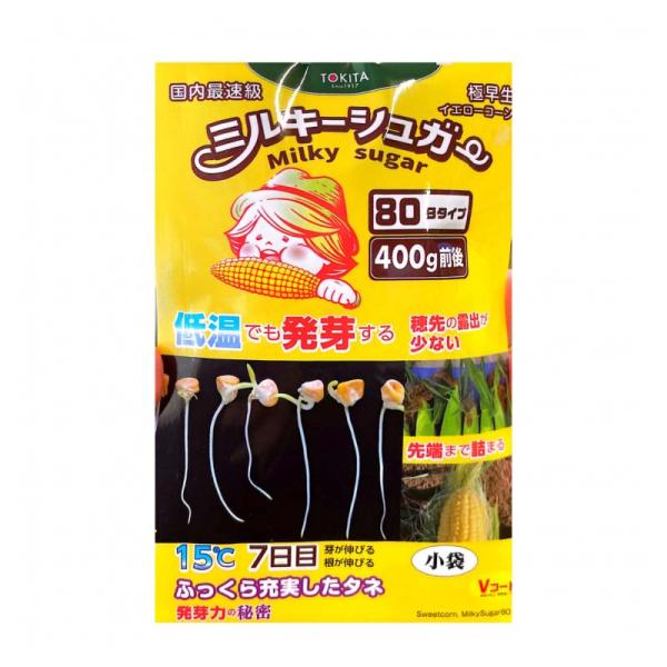 「ミルキーシュガー」は、低温条件下でも発芽・伸長良好な新シリーズ品種です。ミルキースイーツ同様にジューシーで甘いイエロースイートコーンで、食味はそのまま、極早生タイプでも、大きめの穂の収穫が期待できます。播種後80日目安で収穫できる極早生品...