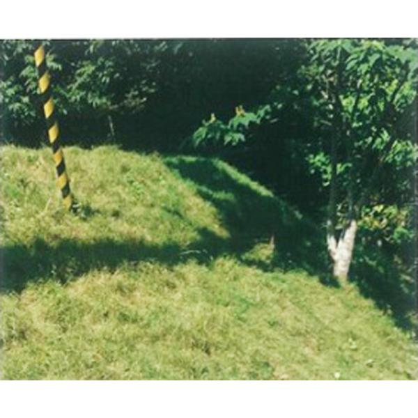 冷涼地における畦畔法面の雑草抑制に！定植後の被服密度が高く、雑草が侵入しにくい。ティフ・ブレアでは困難な秋まき栽培が可能。クリーピングベントグラスの中では耐暑性に優れ、夏場でも効果が長持ち。各種病害の抵抗性に優れる。矮子石施工が主体で比較的...