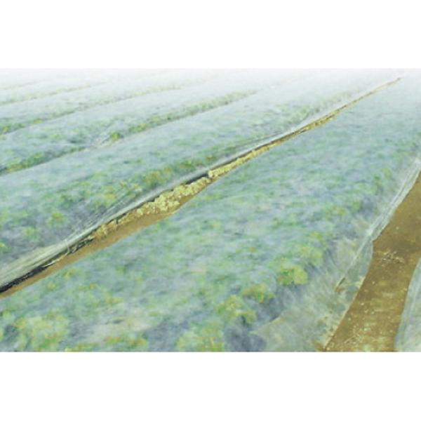 旭化成スパンボンド長繊維不織布エルタス使用。透光性がよく、生育障害の防止に効果があります。通気性、通水性があります。適度の保温性があり、生育促進（促成、発芽促進、活着促進）に効果があります。防霜性にすぐれています。軽いので作業性もよく、耐久...