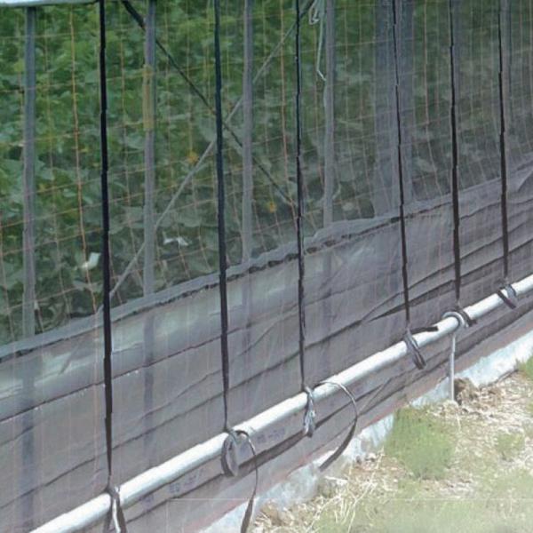 黒の色彩効果でコナジラミを防ぐ防虫ネット。よこ糸とたて糸を黒にする事でコナジラミが侵入しにくい環境を作り、コナジラミの侵入をより効果的に軽減することを可能にしました。0.4mm目合と黒色でコナジラミを防ぐ。黄色と紫外線の波長をカット。コナジ...