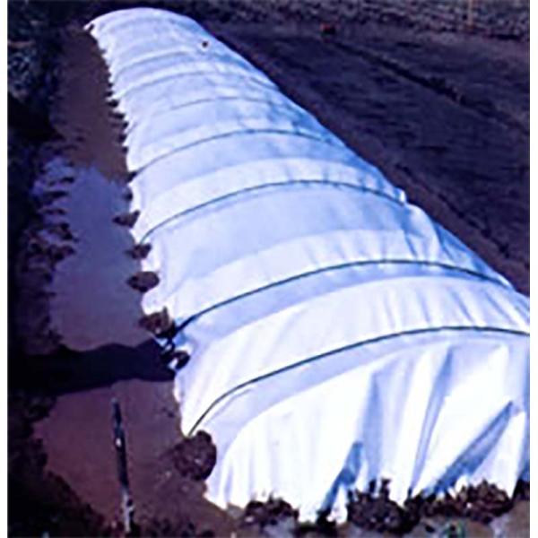 農業用 ミラシートとは、ポリエチレンを独立気泡構造にした低発泡ポリエチレンシートです。断熱性に富み、強く丈夫で保温力が抜群です。主な特長・保温効力に優れています。・透過性に優れています。・作業能率が向上します。厚さ：0.3ｍｍ幅：2.1ｍ長...