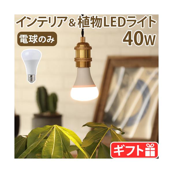 室内栽培 屋内用 観葉植物 野菜 間接照明 メイン照明 ハーブ 日照不足解消 自然な明るさ 室内で育てる 害虫 付きにくい リラックス おしゃれ 実用性 インテリア性 間接照明 メイン照明 植物用ライト 電球 e26 led led電球 植...