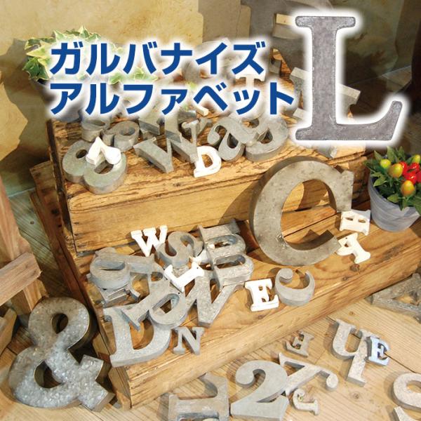 Galvanize alphabetブリキでできたレターパーツ。お気に入りの一文字やイニシャル等、お好きな組合わせを楽しんで。【サイズ】約W340・D35・H330mm（A）【素材】ブリキ【仕様】裏面に1〜2箇所壁掛け用のフックあり※記載の...