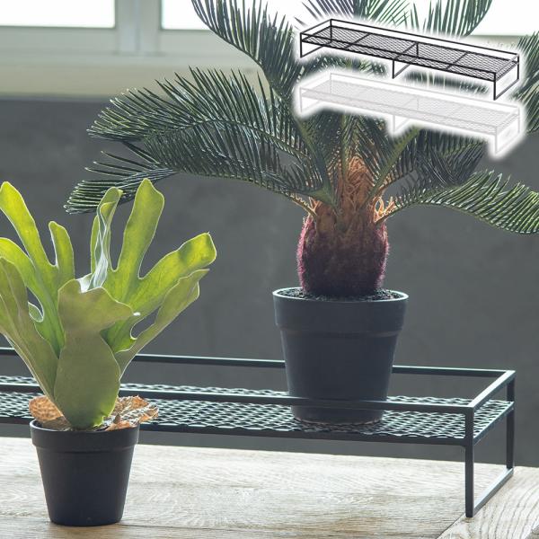 植物に奥行きを、空間にセンスを。高低差のあるディスプレイで、グリーンが主役の洗練空間に。ミニマルな佇まいは、インテリアにも店舗演出にもすっと溶け込みます。【サイズ】約幅91.5×奥行22.5×高さ11cm、口径サイズ：約幅90×奥行21cm...