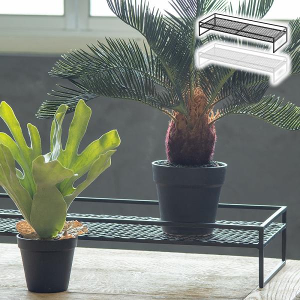 植物に奥行きを、空間にセンスを。高低差のあるディスプレイで、グリーンが主役の洗練空間に。ミニマルな佇まいは、インテリアにも店舗演出にもすっと溶け込みます。【サイズ】約幅61.5×奥行22.5×高さ11cm、口径サイズ：約幅60×奥行21cm...
