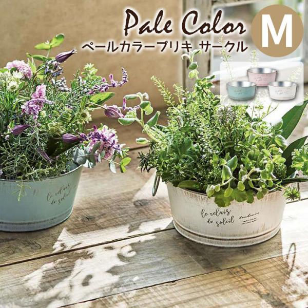 角をとったやさしい形＆流行の淡いカラーが人気！Le relais du soleil：太陽の小宿bonheurs：幸せCette fleur est la plus belle de toutes les fleurs：この花はすべての花の...