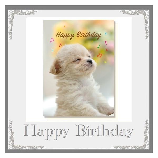 オルゴールカード　子犬バースデーカード　バースデーソングをオルゴールアレンジ　お届け方法ゆうパケットメール便で４個まで　指定日代引き不可ブランド名　アクティブコーポレーション　生産地中国　素材紙　サイズ11x15x0.6  定形内　切手料金...