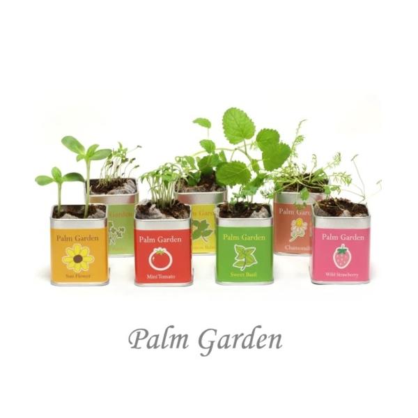 パームガーデン　栽培セット　プチプレゼント  お届け方法レターパックプラスパーム（手のひら）ガーデン栽培セットです。結婚式、プチギフトやノベルティでも人気です。缶の中には、土・種・説明書が入っています。まき時以外に栽培する場合はいずれも室内...