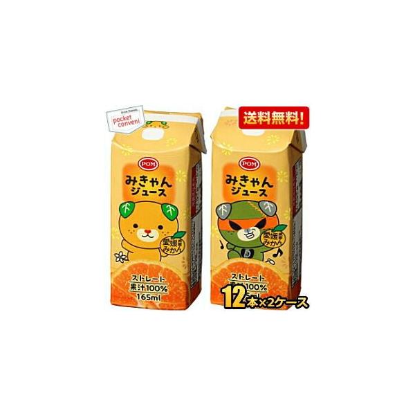 【送料無料24本】えひめ飲料 POM みきゃんジュース 165ml紙パック 24本(12本×2セット) みかんジュース ポンジュース ストレート果汁1