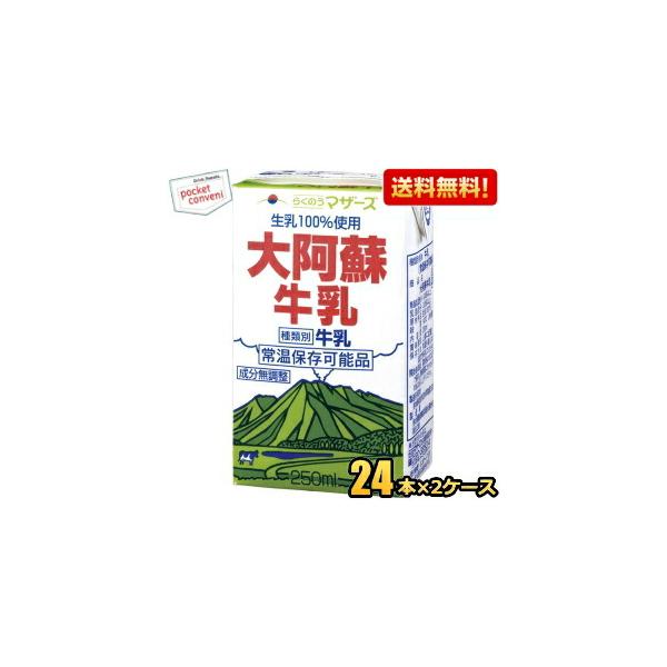送料無料 らくのうマザーズ 大阿蘇牛乳 250ml紙パック 48本(24本×2ケース) (常温保存可能) 爆買 お中元