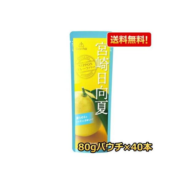 送料無料 ゴールドパック 宮崎日向夏 80gパウチ×40本(20本×2ケース) 宮崎県道日向夏使用 果汁 シャーベット ジュース アイス