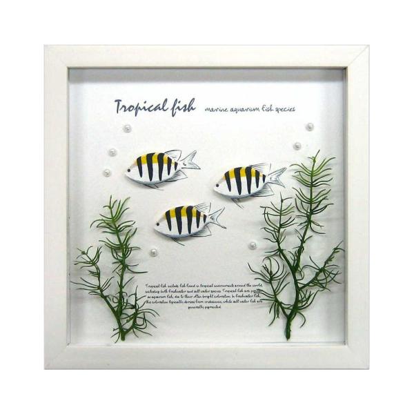 オヤビッチャが、水槽で泳いでいるようなアートフレームです。 生産国:日本 素材・材質:MDF(化粧フィルム)・ガラス・紙・ポリエステル 商品サイズ:W220×H220×D20mm 仕様:壁掛け・卓上両用フレームスタンド・説明書付き　※サプラ...