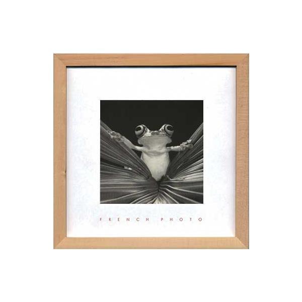 おしゃれなフレンチテイストのフォトアートです。お部屋を華やかな空間に演出します。 生産国:日本 素材・材質:MDF(化粧フィルム)・ガラス・紙 商品サイズ:W220×H220×D20mm 仕様:壁掛け・卓上両用フレームスタンド・説明書付き　...