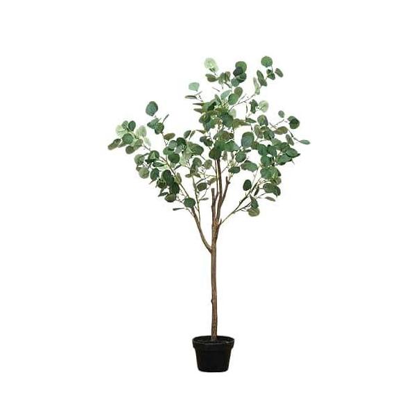 ユーカリはドライフラワーやブーケなどで良く目にする親しみのある植物です。特徴的な白銀かかったハート形の葉で本物同様ナチュラルな雰囲気を演出します。 生産国:中国 素材・材質:PE 商品サイズ:H150cm　※サプライヤー直送品　　