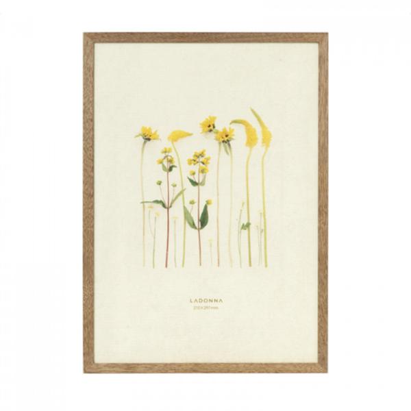 しっとりとした質感の無垢なウォールナットを使用したナチュラルフレーム。 生産国:中国 素材・材質:ウォールナット材 商品サイズ:外寸:223×310mm、内寸:211×298mm、窓寸:204×291mm、マット窓寸:138×90mm/75...