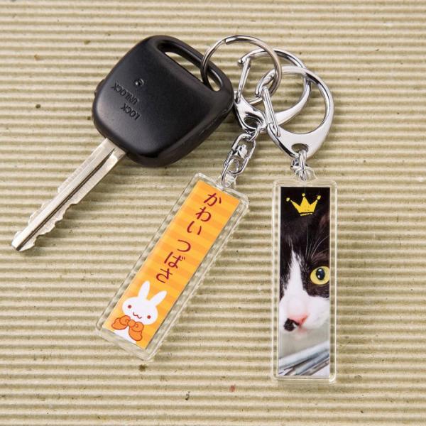 インクジェットプリンターで専用紙(印画紙タイプ)に好きな写真やイラストを印刷して、キーホルダーパーツ(透明ケース)にはめこむだけで、簡単にオリジナルキーホルダーが作れます。このキットでスティック型のキーホルダーが2個作れます。より大きい写真...