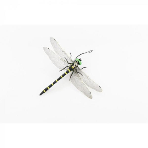 蚊・ハチ・虻・ハエなどの天敵、肉食トンボの鬼ヤンマです。大きな目で威嚇ができます。リュックや、帽子につけたり、アウトドアキャンプなどでタープやテントにつけてもOKです。便利なストラップと安全ピンが付いております。 生産国:中国 素材・材質:...