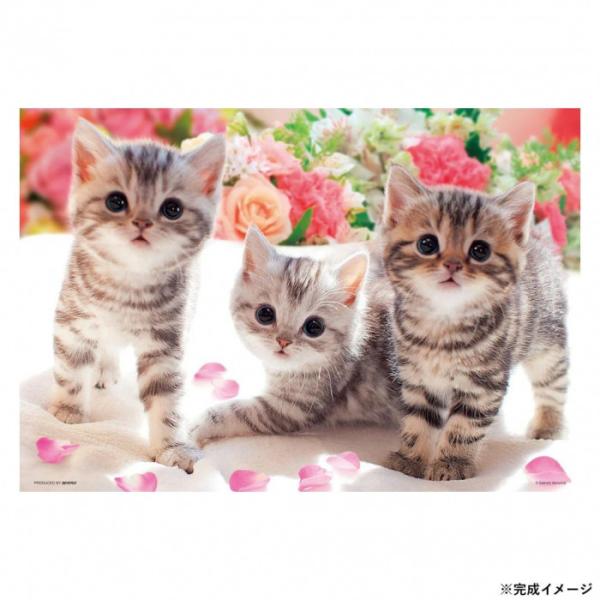 【発売日：2026年03月10日】かわいいペットジグソーパズルシリーズ! 生産国:日本 商品サイズ:38×26cm 仕様:ピース数:300ピースパネルNo.031(C)Satoshi Konuma　※サプライヤー直送品　　